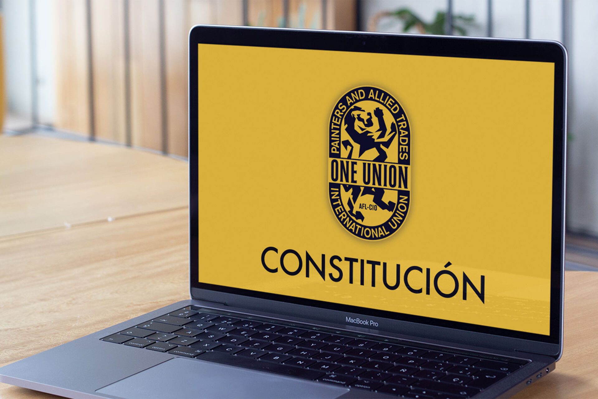 Para miembros - IUPAT