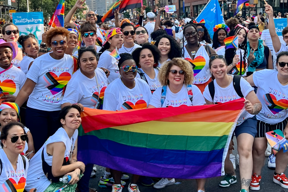 IUPAT Member Committees - IUPAT